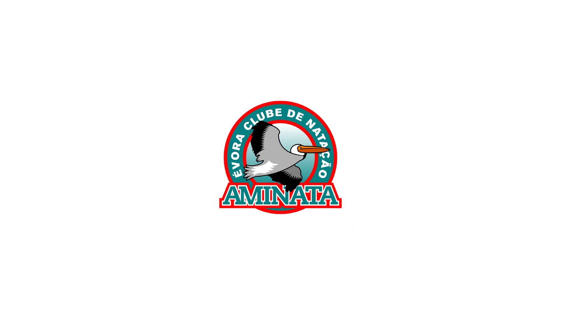 Aminata Évora Clube de Natação - Portal Institucional