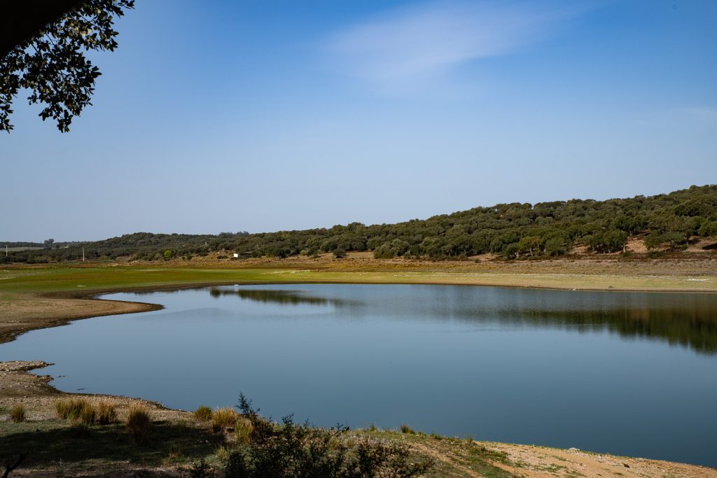 INAUGURAÇÃO DE OBSERVATÓRIO DE AVES NA ALBUFEIRA DO DIVOR INCLUI ...