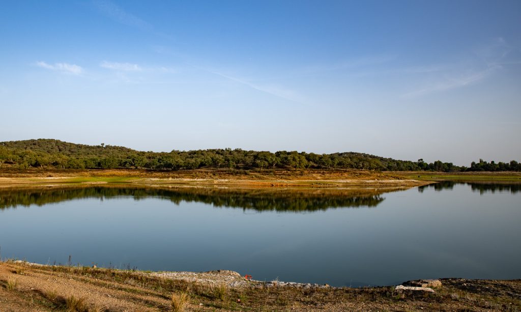 INAUGURAÇÃO DE OBSERVATÓRIO DE AVES NA ALBUFEIRA DO DIVOR INCLUI ...